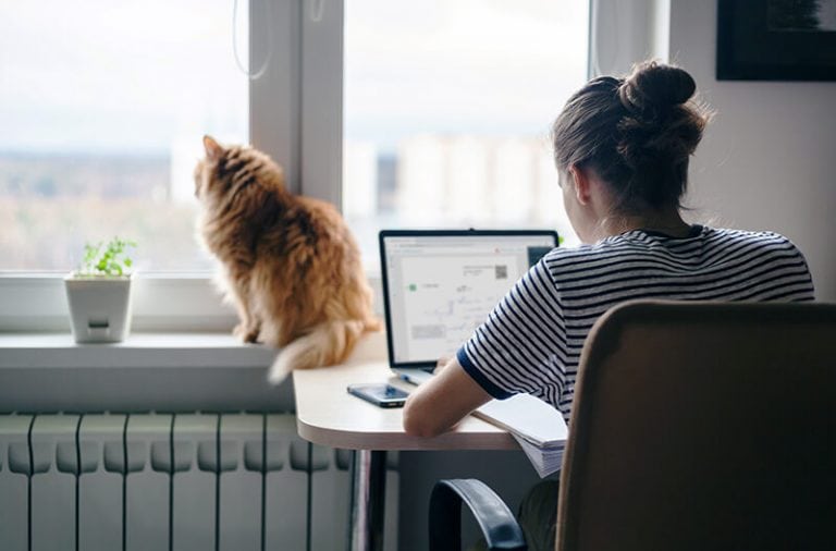 Higher Ed - Crowdmark